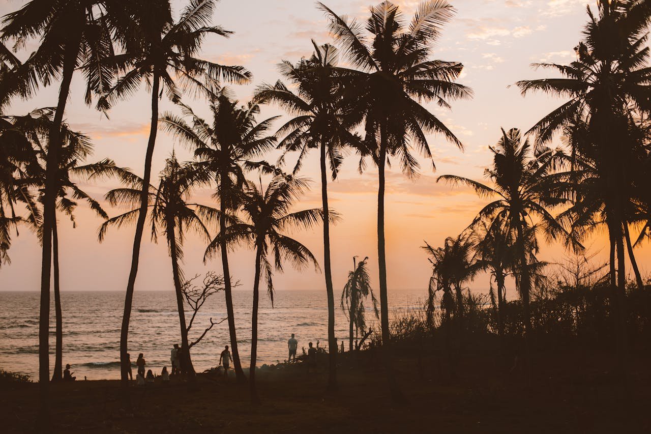 60 frases de calma para desacelerar a mente, encontrar paz e viver com ...