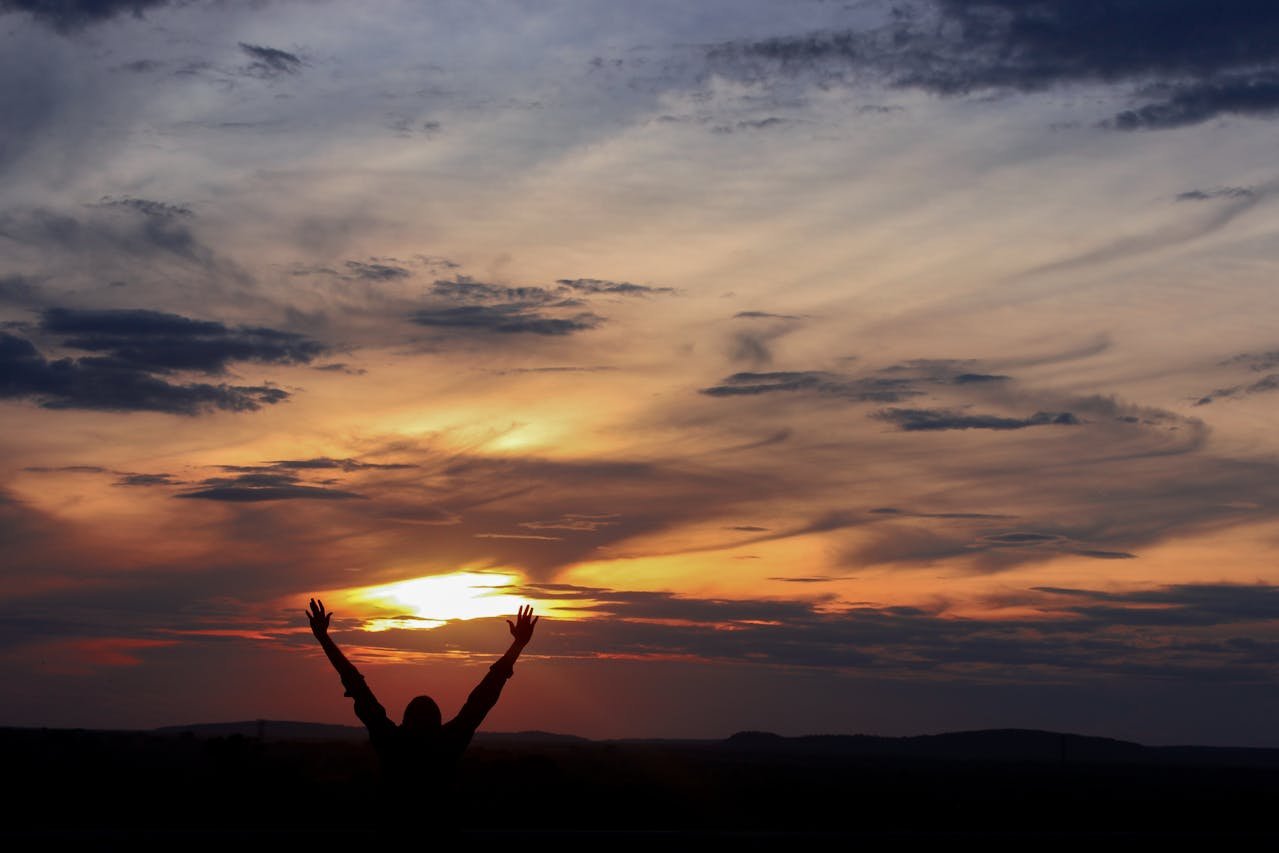 65 frases de liberdade para inspirar autenticidade, fortalecer escolhas ...